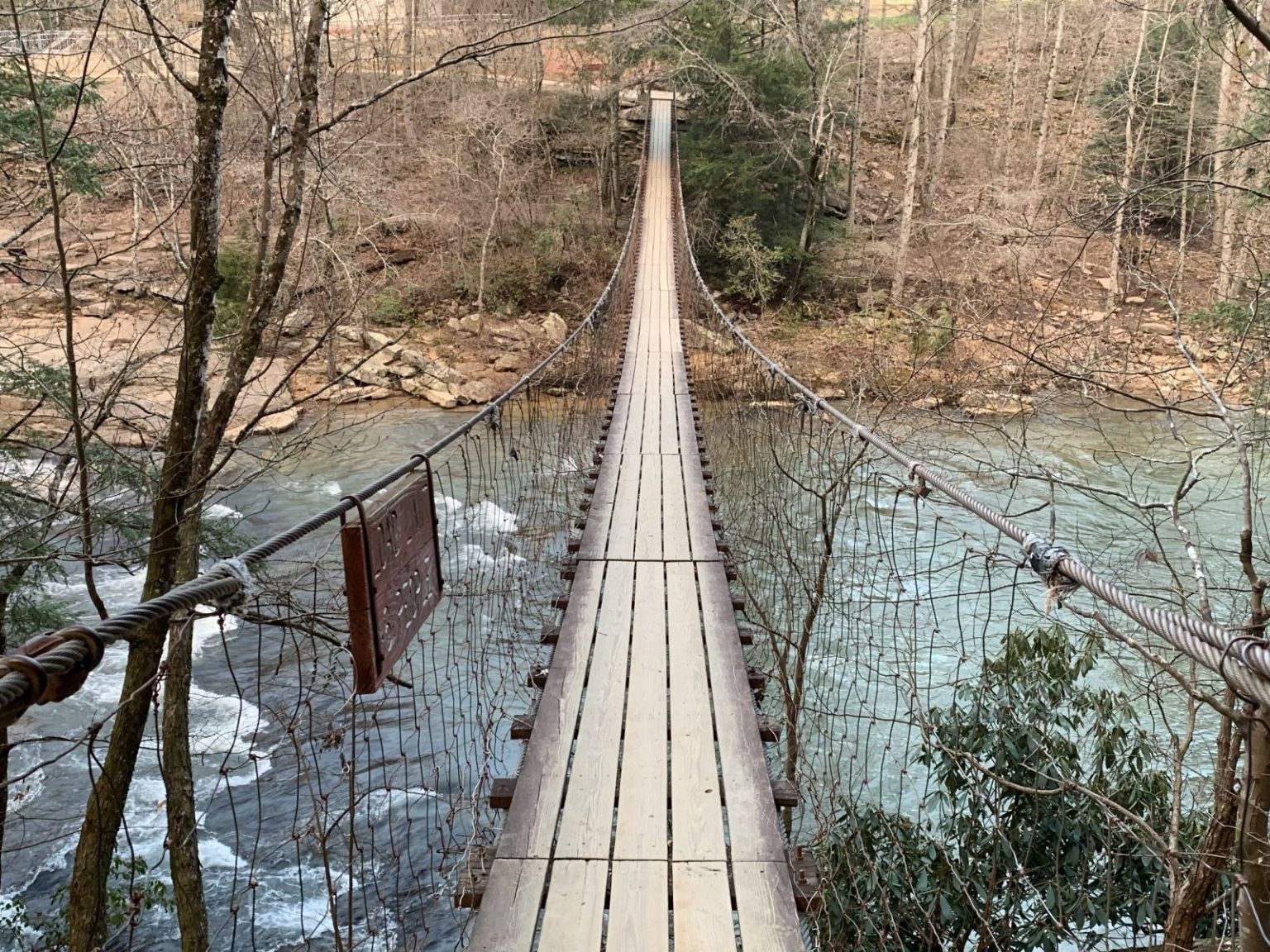 Gorge Overlook Trail - Fall Creek Falls Guide